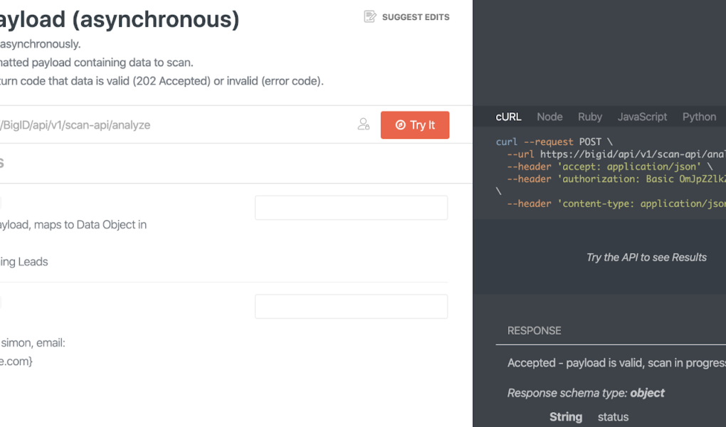 Bigid For Data Security