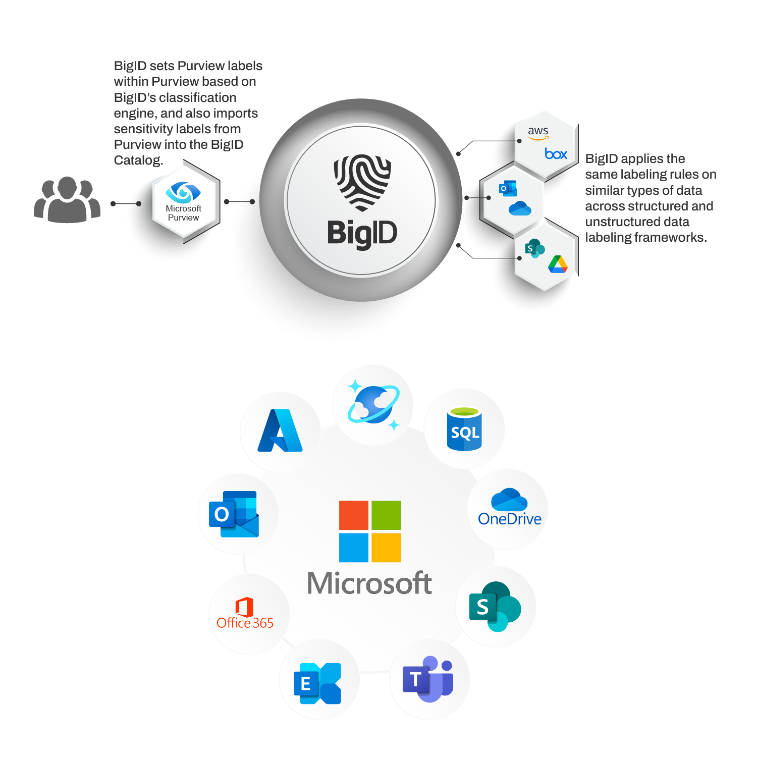 BigID for Microsoft Purview - DSPM